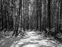 Level TNA-97 | Wiki Vietnamese Backrooms | Fandom