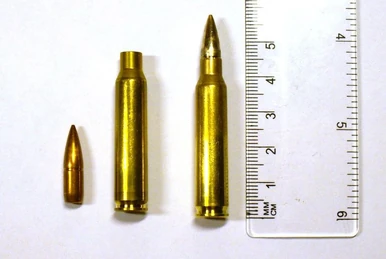 M16 Bullet Vs Ak 47 Bullet