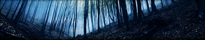 Jotunheim | Vikingclan Wiki | Fandom