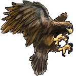 Hawk Familiar | Vikingclan Wiki | Fandom