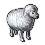 Sheep | Vikingclan Wiki | Fandom