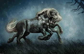 Sleipnir | Vikings Wiki | Fandom