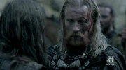 Borg | Vikings Wiki | Fandom
