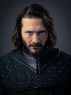 Godwin | Vikings Wiki | Fandom