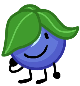 Blueberry | Village Of Objects Wiki | Fandom