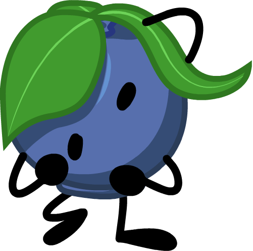 Blueberry | Village Of Objects Wiki | Fandom