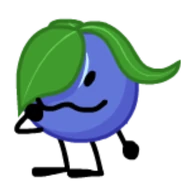 Blueberry/Gallery | Village Of Objects Wiki | Fandom