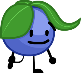 Blueberry | Village Of Objects Wiki | Fandom