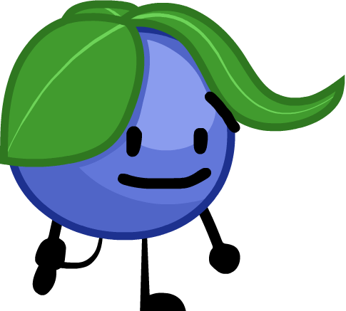 Blueberry/Gallery | Village Of Objects Wiki | Fandom