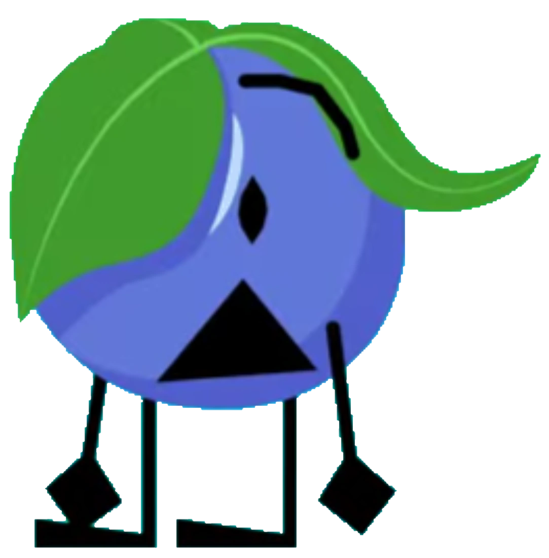 Blueberry | Village Of Objects Wiki | Fandom