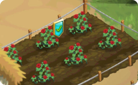 Red Roses | Village Life Wiki | Fandom