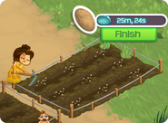 Village Life Wiki | Fandom