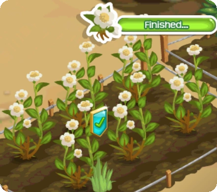 Spring Tree | Village Life Wiki | Fandom