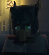 Testificate Man | Villagers Wiki | Fandom