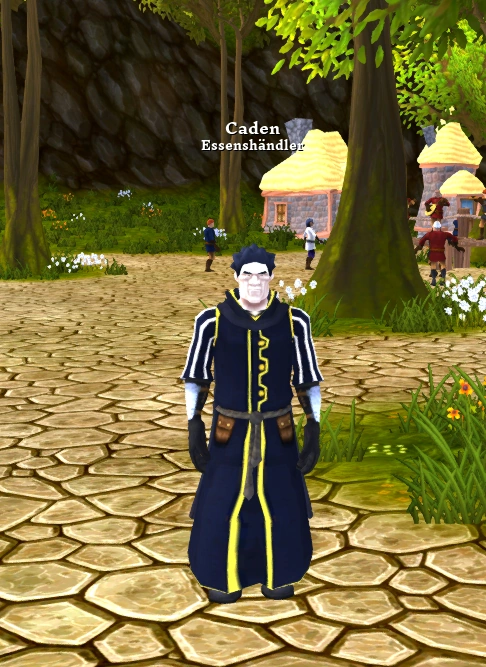 Caden | Villagers and Heroes of A Mystical Land Wiki | Fandom