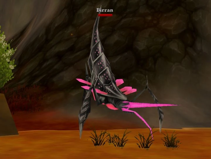 Birran | Villagers and Heroes of A Mystical Land Wiki | Fandom