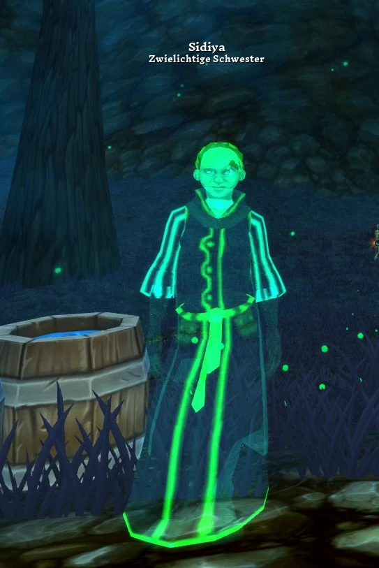 Sidiya | Villagers and Heroes of A Mystical Land Wiki | Fandom