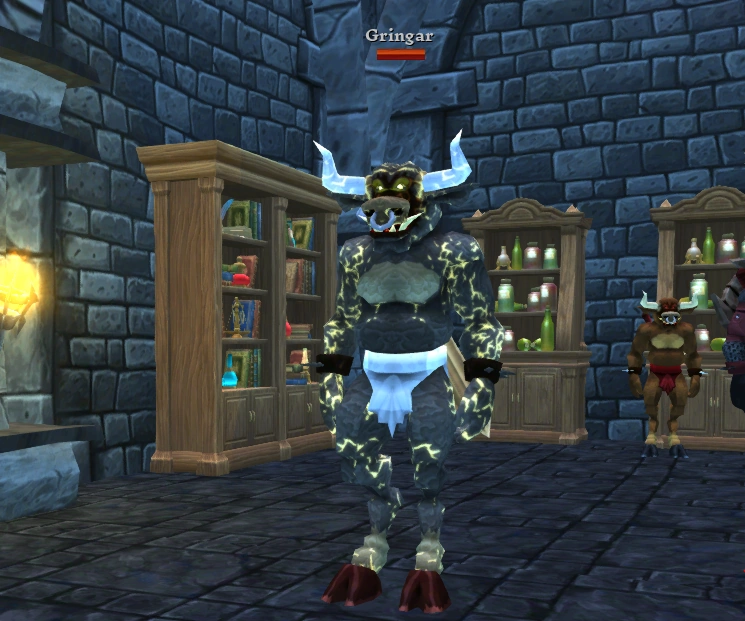 Gringar | Villagers and Heroes of A Mystical Land Wiki | Fandom