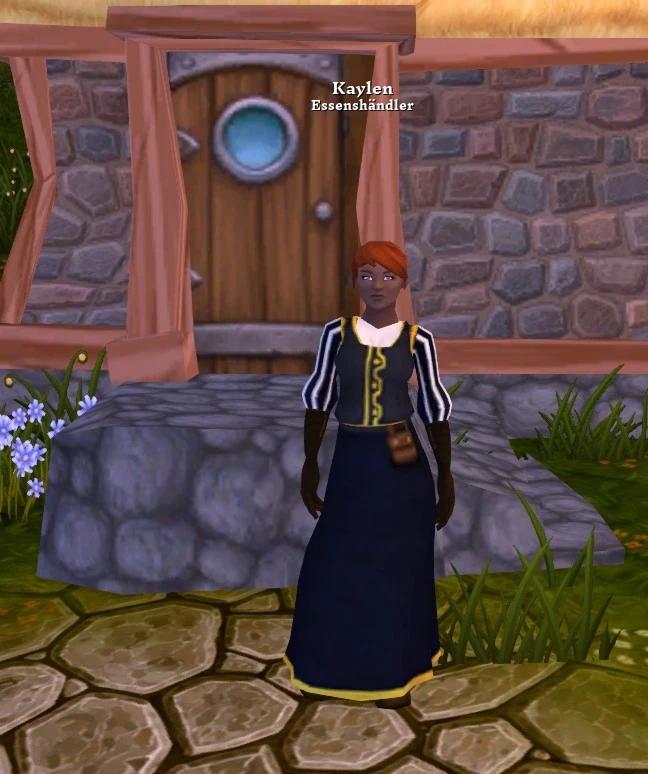 Kaylen | Villagers and Heroes of A Mystical Land Wiki | Fandom