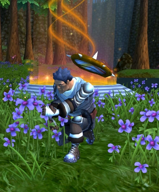 Captain Robin | Villagers and Heroes of A Mystical Land Wiki | Fandom