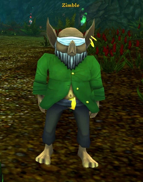 Zimble | Villagers and Heroes of A Mystical Land Wiki | Fandom