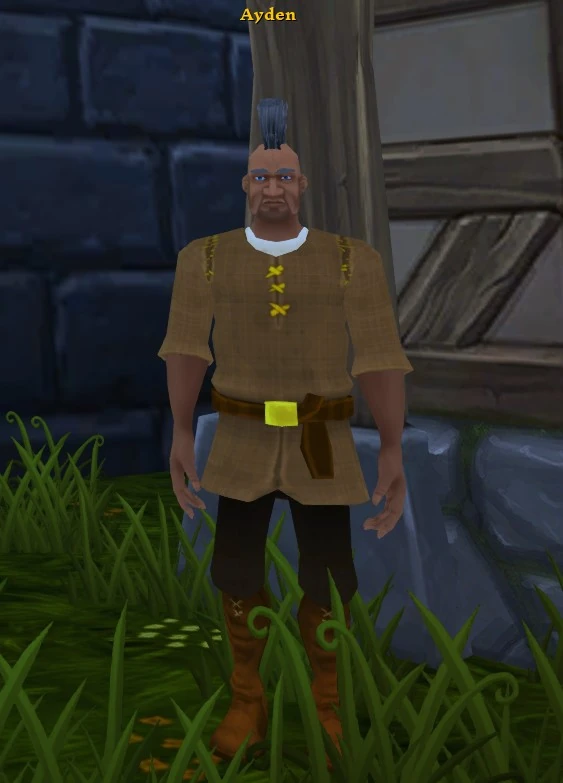 Ayden | Villagers and Heroes of A Mystical Land Wiki | Fandom