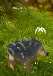 Kingsbane - Official Villagers and Heroes Wiki