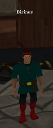 Birinus - Official Villagers and Heroes Wiki