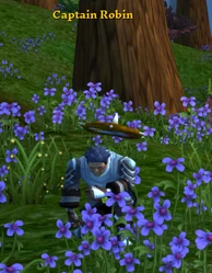 Captain Robin - Official Villagers and Heroes Wiki