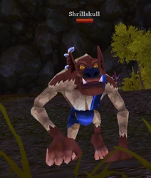Shrillskull - Official Villagers and Heroes Wiki