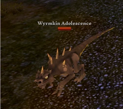 Wyrmkin Adolescence - Official Villagers and Heroes Wiki