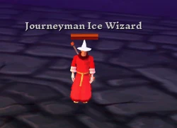 Journeyman Ice Wizard - Official Villagers and Heroes Wiki
