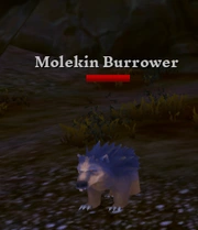 Molekin Burrower - Official Villagers and Heroes Wiki