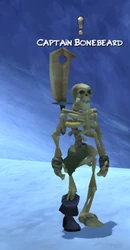 Captain Bonebeard - Official Villagers and Heroes Wiki