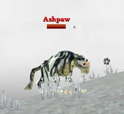 Ashpaw - Official Villagers and Heroes Wiki