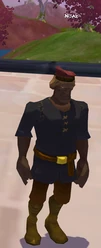 Nijaz - Official Villagers and Heroes Wiki