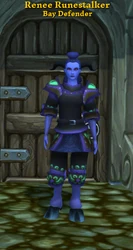 Renee Runestalker - Official Villagers and Heroes Wiki
