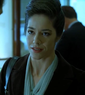 Erica Logan (Numb3rs) | Villainous Beauties Wiki | Fandom