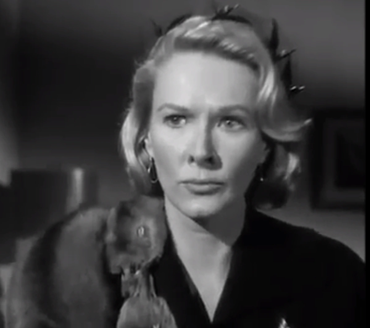 Madge Wainwright (Perry Mason) | Villainous Beauties Wiki | Fandom