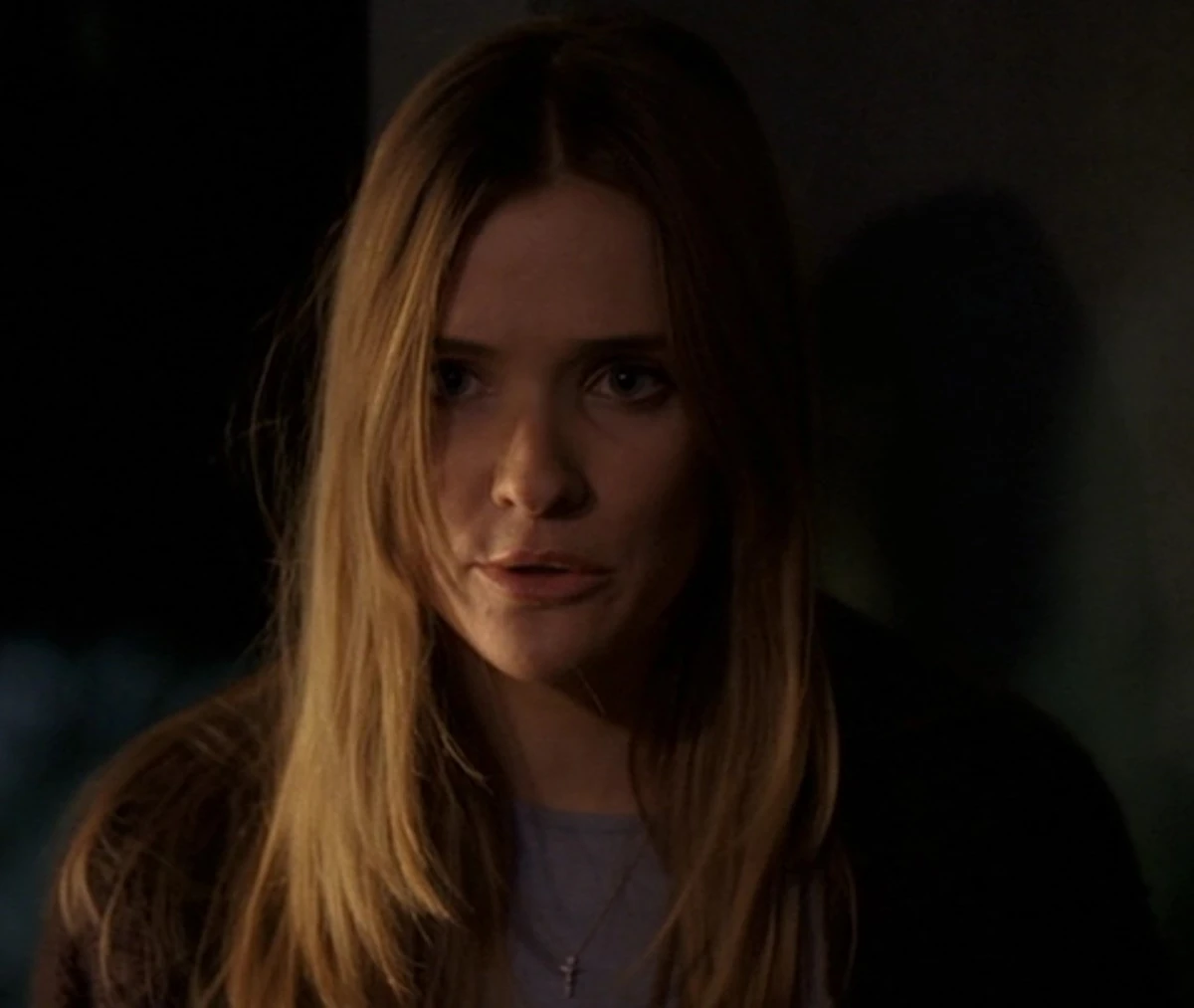 Lynn Cooper (Ghost Whisperer) | Villainous Beauties Wiki | Fandom