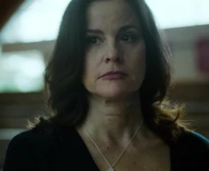 Stephanie Carson (Motive) | Villainous Beauties Wiki | Fandom