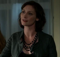 Laura Dawe (Republic of Doyle) | Villainous Beauties Wiki | Fandom