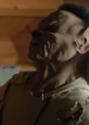 User blog:CEDJunior/Kate Malroy (Grandma Werewolf) | Villainous ...