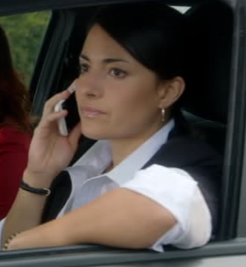 Renee Johnstone (Republic of Doyle) | Villainous Beauties Wiki | Fandom