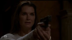 Sheila Porter (Law & Order: SVU) | Villainous Beauties Wiki | Fandom