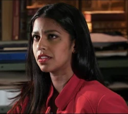 Monica Hayward (Republic of Doyle) | Villainous Beauties Wiki | Fandom