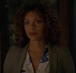 Laurie Perkins (NCIS) | Villainous Beauties Wiki | Fandom