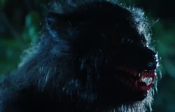 Carla (Creepshow) | Villainous Beauties Wiki | Fandom