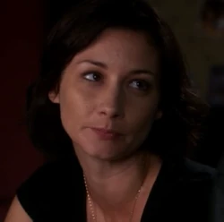 Laura Dawe (Republic of Doyle) | Villainous Beauties Wiki | Fandom