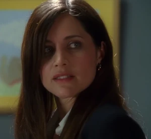 User blog:CEDJunior/Kate Payne (Ghost Whisperer) | Villainous Beauties ...